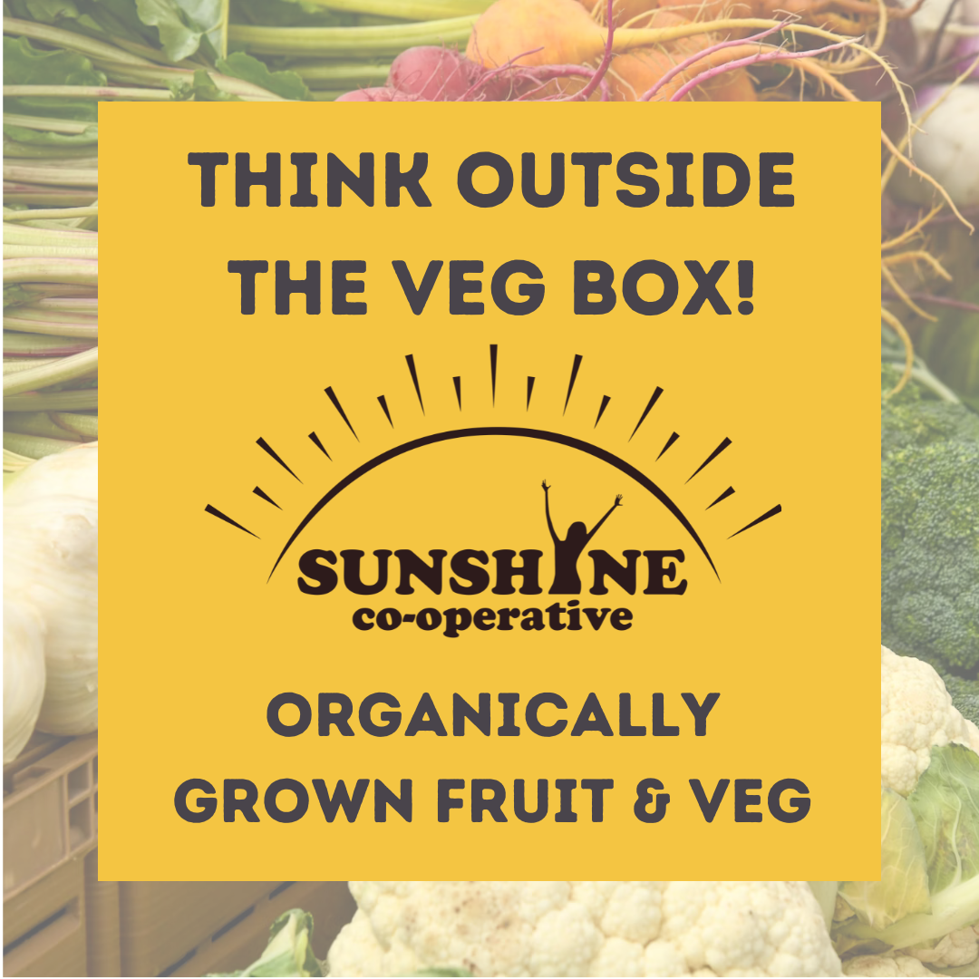 Organically Grown Fruit & Veg Bags & Boxes – Sunshine Co-Operative