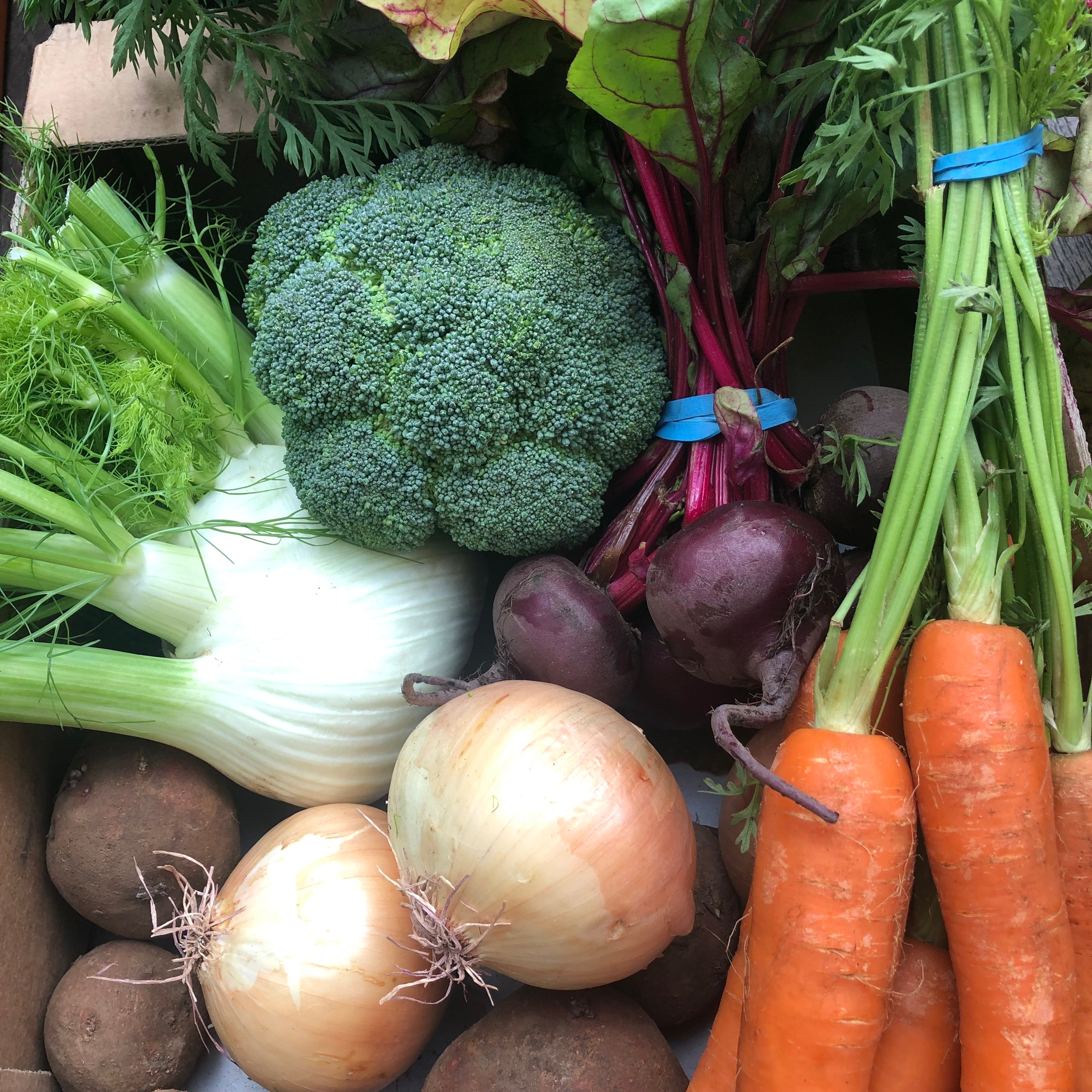 Fruit & Veg Bags & Boxes – Sunshine Co-Operative